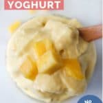 Mango Frozen Yogurt (no refined sugar) - Healthy Little Foodies