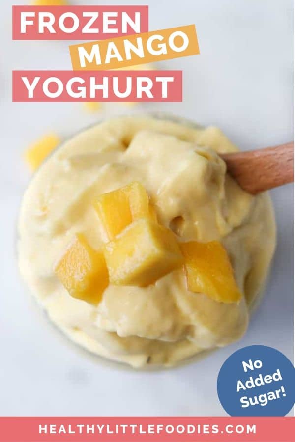 Mango Frozen Yogurt (no refined sugar) - Healthy Little Foodies