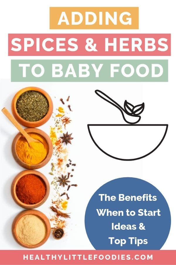 When I Can Start to Use Spices for Baby Food - Davis Prabooks