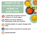 Adding Spices and Herbs to Baby Food - Healthy Little Foodies