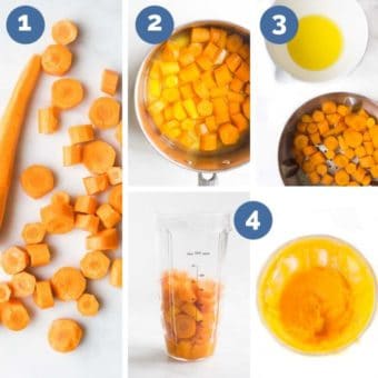 Carrot Puree - Healthy Little Foodies