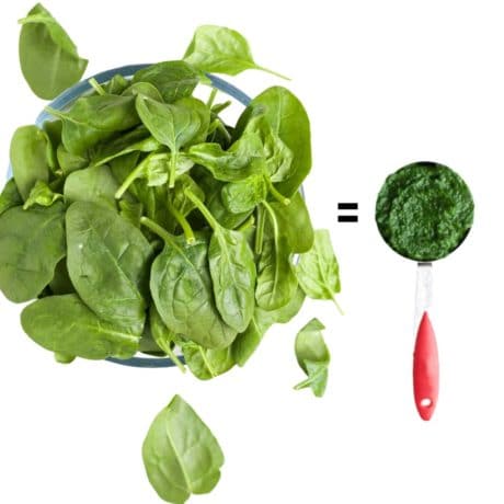 Spinach Puree - Healthy Little Foodies