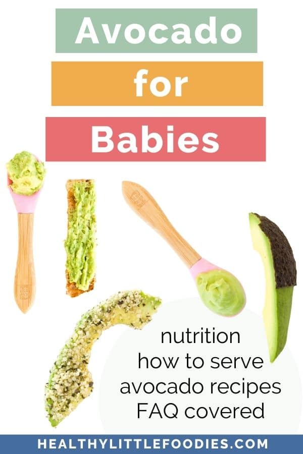 Avocado for Babies - Healthy Little Foodies