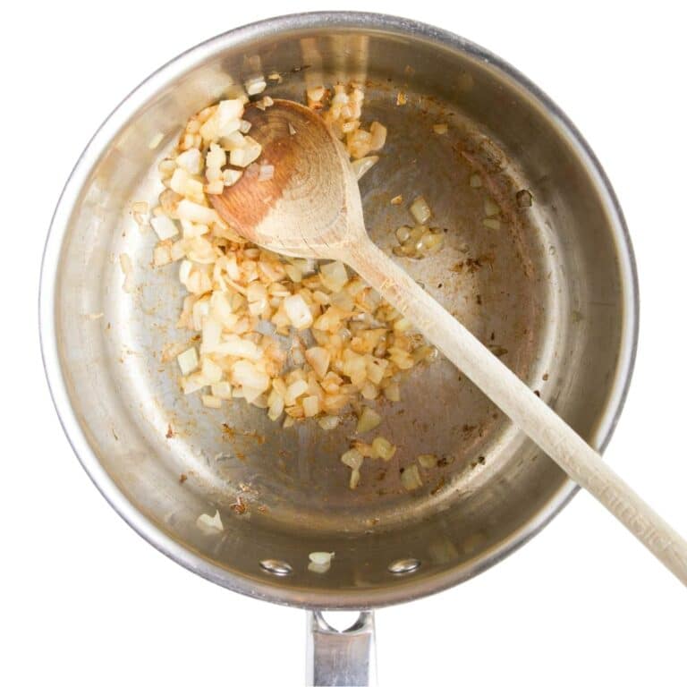 Chicken Puree for Baby- Healthy Little Foodies