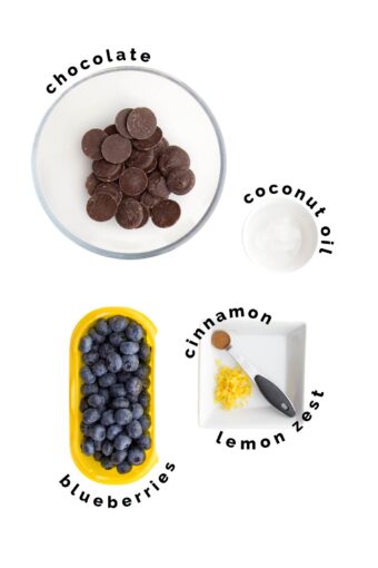 Chocolate Covered Blueberries - Healthy Little Foodies